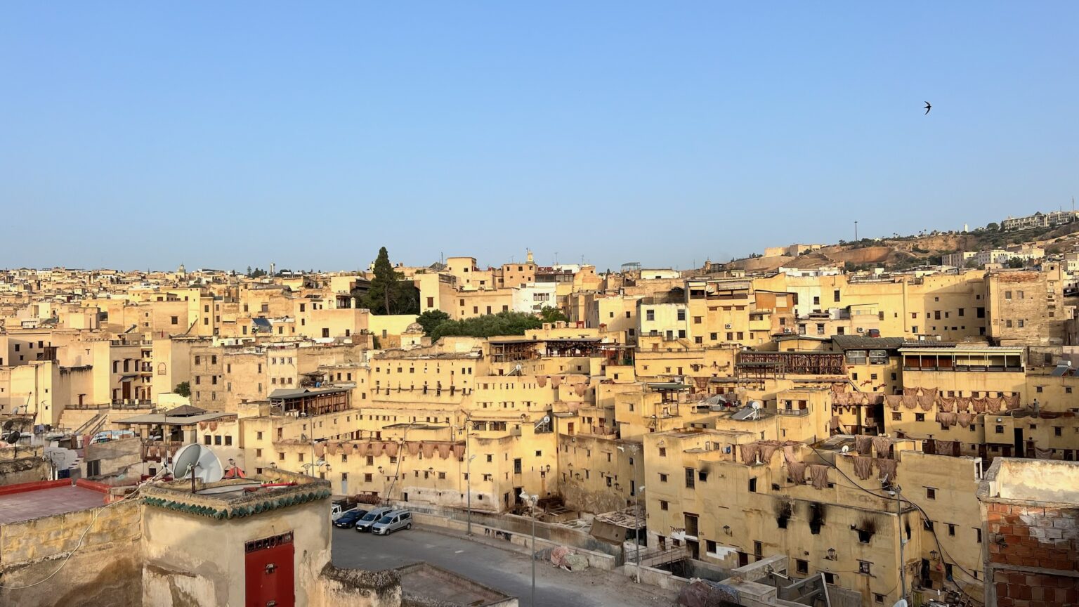 Fes 1 Day Itinerary: The Oldest City in Morocco – alecandeveontour